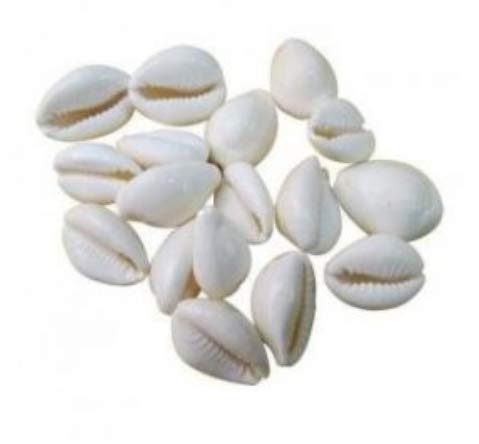 Buy Timeshopee White KODIYA Set of 11 Online at Low Prices in India ...
