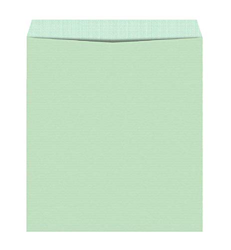 NSSP Green Cloth lined Envelope (Regular Cloth) Size : 16 x 12 inches ...