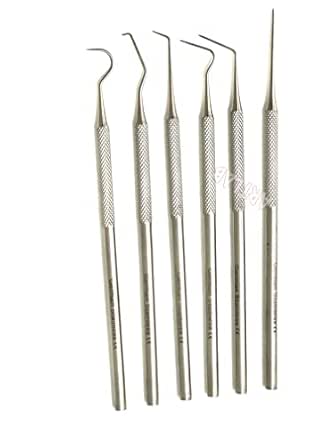 Amazon.com: Premium Set of 10 Stainless Steel Precision Micro Probe Set ...