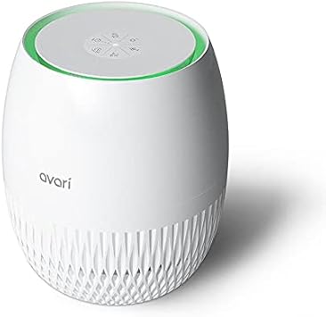 Amazon.com: Avari EG Air Purifier 4-Stage Embossed HEPA Filter ...