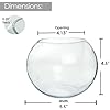 Amazon.com: Craft And Party, Glass Bubble Bowl, 4.5" Height x 6" Width Glass Fish Bowl Vase ...