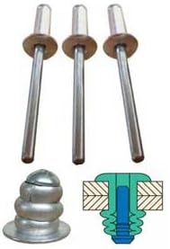 Small Head Multi-Grip Pop Rivets 250ct : Buy Online at Best Price in ...