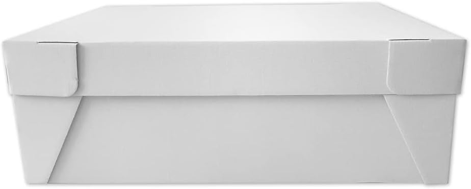 PME CBO904 Oblong Cake Box 17 x 13-Inch / 43 x 33 cm, White : Amazon.co ...