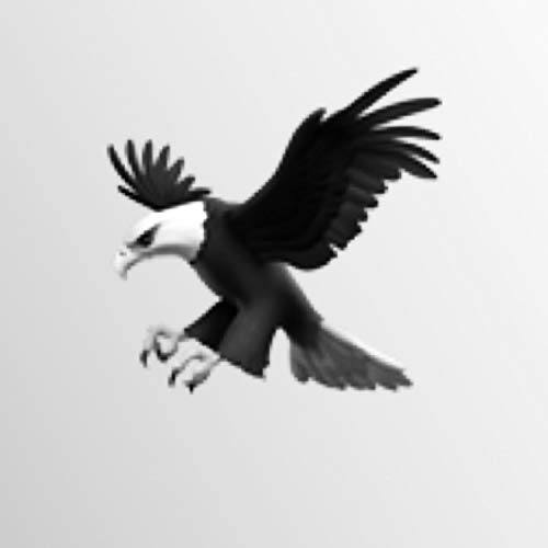 Amazon.co.jp: Big Hawk [Explicit] : Sami Rahman: Digital Music