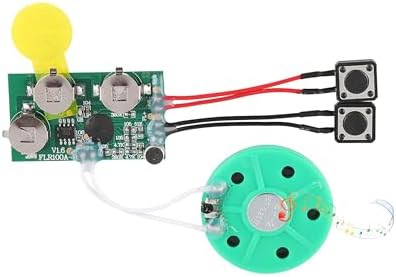 Handepo 2 Pieces 120 Seconds Recordable Sound Module, 4MB Memory, USB ...