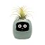 Odpaltoy Smart Plant Pot with Expression, AI Smart Planter Robot for ...