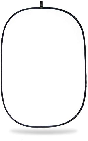 Amazon.com : Photography Light Diffuser Panel 59x39.3 Inches/ 150x100cm ...