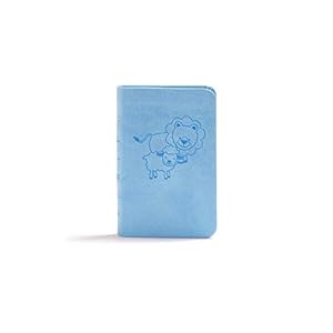 Amazon.com: CSB Baby's New Testament with Psalms, Pink Imitation ...