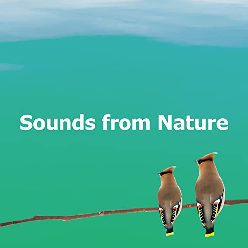 Amazon.com: Sounds from Nature : Actors of Nature: Digital Music