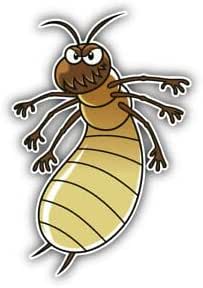 Amazon.com - Set of 3 - Cartoon Termite Car Bumper Sticker Decal