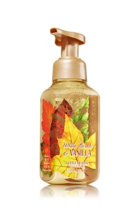Amazon.com : Bath & Body Works Gentle Foaming Hand Soap White Birch ...
