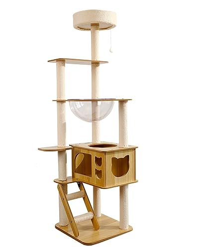 Petco Cat Tree – The 15 best products compared - Wild Explained