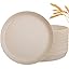 Amazon.com | ejonirinjonir EI 18pcs Beige Wheat Straw Plates ...