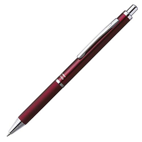 Zebra Permanent Ballpoint Pen Fortia 300 Wine BA80-WR Set of 2 : Amazon ...