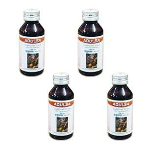 Amazon.com : Ayurchem Adulsa Compound Syrup 400ml (4 x 100ml) : Health ...