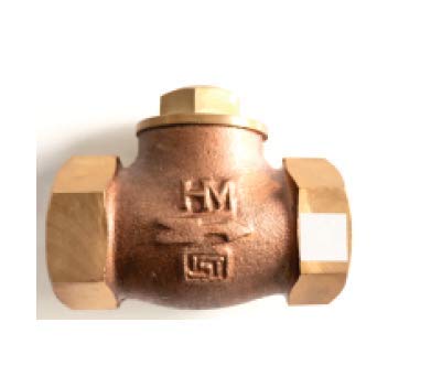 HM Gun Metal Horizontal NRV (Non Return Valve) Heavy Duty {ISI ...