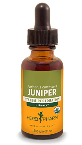 How to Make Juniper Berry Tincture - 4 Amazing Health Uses
