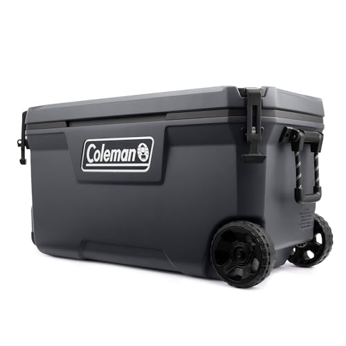 Coleman Ice Chest – The 16 best products compared - Wild Explained