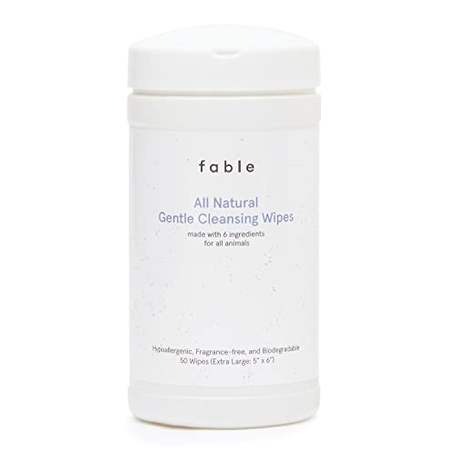 Say Goodbye to Harmful Chemicals: Top 10 All Natural Pet Wipes for ...