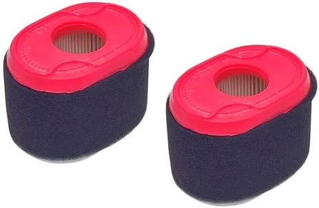 Amazon.com: Briggs & Stratton 796970 Air Cleaner Cartridge Filter : CDs ...