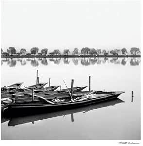 Amazon.com: (16x16) Harold Silverman Reflection Art Print Poster ...