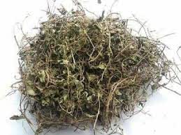 Buy Shobhasavi Shankhpushpi Roots - 100g | Asian Pigeonwings ...