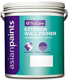 Asian Paint Exterior Wall Primer (1L), multicolor : Amazon.in: Home ...