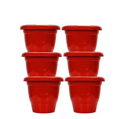 Homenote Fancy Gamla /Plastic Pot/Planter for Flower Plant, Plants ...
