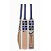 SS Sky Stunner Kashmir Willow Cricket Bat-SH : Amazon.in: Sports ...