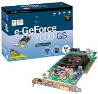 EVGA NVidia GeForce 7600 GS 256MB DDR2 AGP 8 x TV-out Ram Embalaje de ...