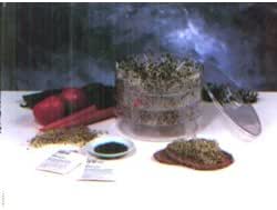 Amazon.com : Miracle Biosta Clear Sprouter : Planters : Patio, Lawn ...