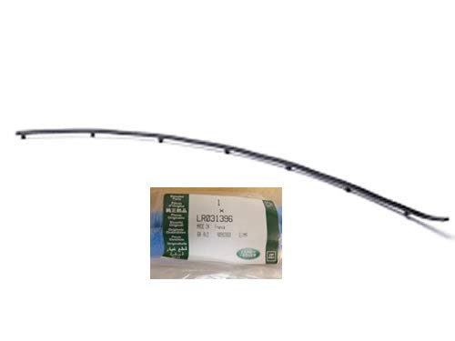 Amazon.com: Genuine LAND ROVER Rear Door WEATHERSTRIP Retainer Clip ...