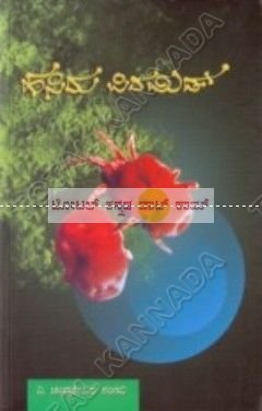 Hasiru Pyramid: Collection of Articles : Amazon.in: Books