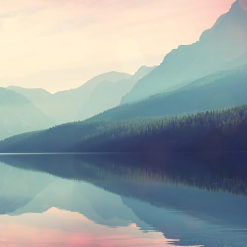 ミュージック・ラボ・コレクティヴ & ヨハン・セバスティアン・バッハによるAir on a G String (River Meadow ...