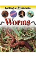 MINIBEASTS WORMS : Sally Morgan: Amazon.co.uk: Books