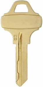 Tru Guard C123 Key Blanks for Residential Schlage SCH Everest Locks (10 ...