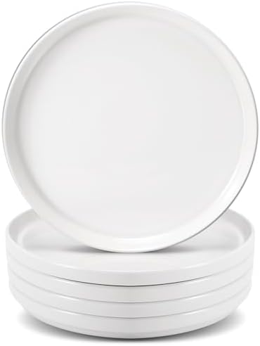 Amazon.com | Cabaubl Porcelain Dinner Plates Set of 6,10 Inch Round ...