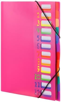 Amazon.com : 12 Pocket Expanding Project Sorter File Organizer, Office ...