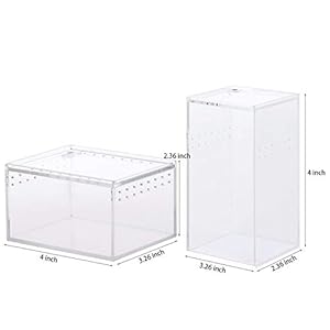 2 Pack Acrylic Reptile Terrarium Insect Tarantula Enclosure Tank Snail ...