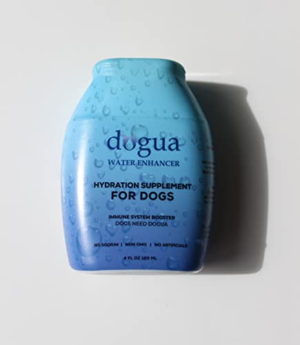 Dog Hydration – The 15 best products compared - Wild Explained