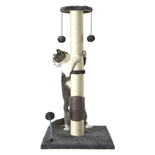 Cat Scratch Pole – The 15 best products compared - Wild Explained