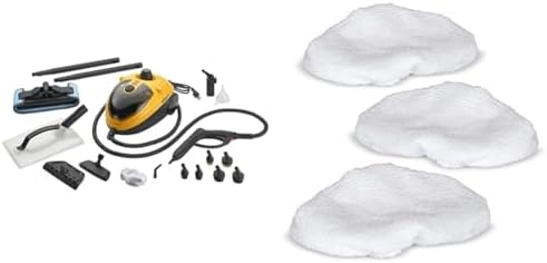 Amazon.com: Wagner Spraytech 0282014 915e On-Demand Steam Cleaner ...
