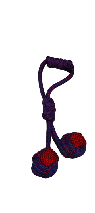 Buy Pause for Paws Red & Blue Rope Toy(Pack of 4) Online at Low Prices ...