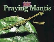 Bugs - Praying Mantis: Scholl, Elizabeth J.: 9780737717730: Amazon.com ...