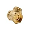 AQUA - AGRO - Non - Return Valve (NRV) - Metal - Brass - 2 inch (50mm ...