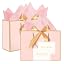 TACHIO Gift Bags Medium, 2Pcs Paper Gift Bag with 4 tissue papers and ...