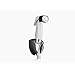 Kohler 12925IN-CP Health Faucet W/White SD Spray M Hose (Multicolour ...