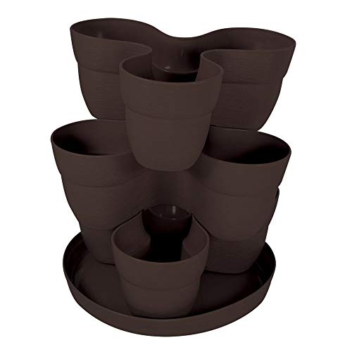 Top 10 Plants For Stackable Planters of 2022 - Katynel