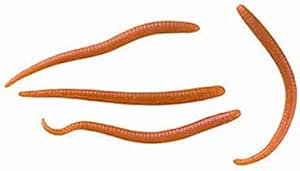 Amazon.com : Berkley Gulp Mini Earthworms : Sports & Outdoors
