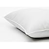 Amazon.com: Hotel Collection Triple Compartment Feather and Down Pillow ...